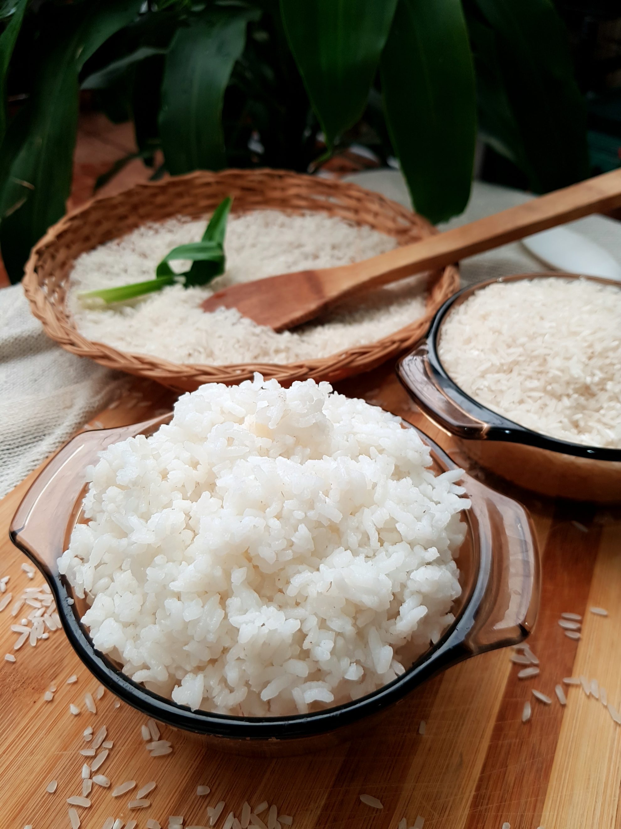 Cropital Rice (25 kg) - Cropital Store